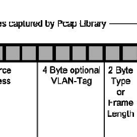 Format Of An Ethernet Frame The Data From The Ethernet Frames That Has Download Scientific