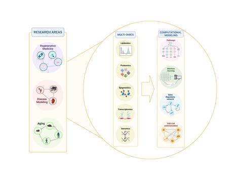 The Computational Biology Group