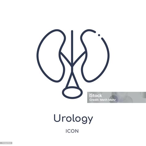 건강 및 의료 개요 컬렉션에서 선형 비뇨기과 아이콘 얇은 라인 비뇨기과 아이콘 흰색 배경에 고립입니다 비뇨 기 유행 삽화 건강
