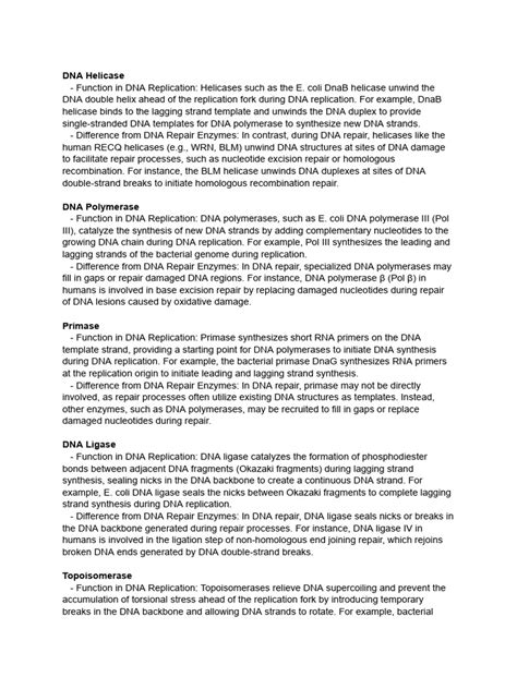imams second assignment pdf dna replication dna