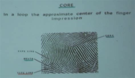 Fingerprints Points Type And Classification — 2016wpa Crime