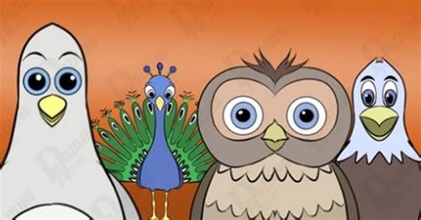 រូប បក្សី នីមួយ ៗ អាច បង្ហាញ ពី បុគ្គលិកលក្ខណៈ របស់ អ្នក បាន យ៉ាង ច្បាស់ Khmerload Cambodia