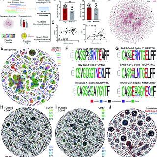 MCP II Joint Without Synovitis In Patient With Rheumatoid Arthritis Download Scientific Diagram