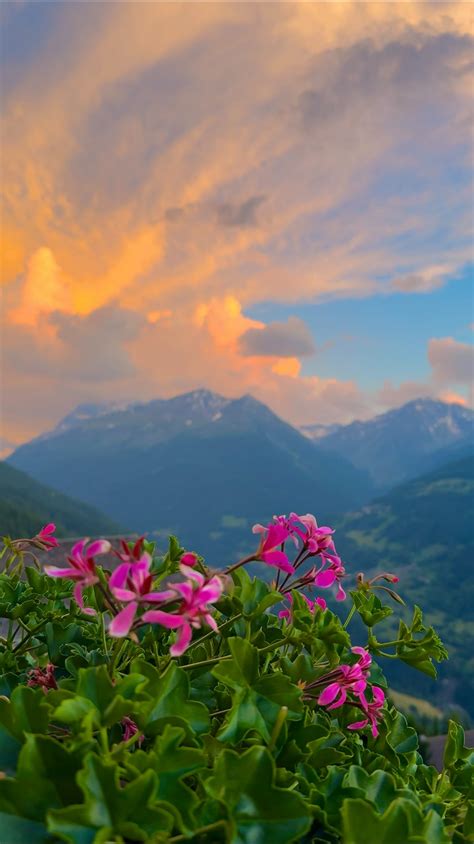 Caiden Jackson A Great Day Turned An Even Better Night Location Valdanniviers