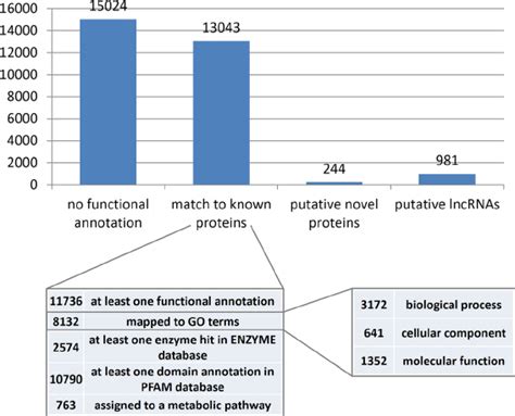 summary of the functional annotation results the bar plot represents download scientific