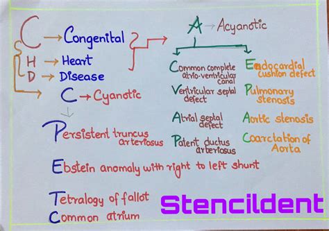 Congenital Heart Defects Classification