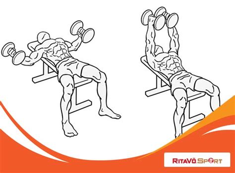 Top các bài tập vai tại nhà hiệu quả để có một cơ vai dày