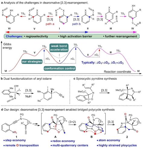去芳构化重排策略发散式合成苯并氮杂卓和桥多环烷酮 X Mol资讯