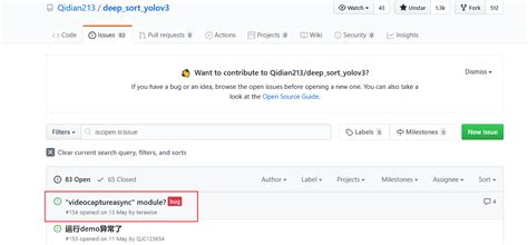 deepsort yolov3 程序运行 灰信网（软件开发博客聚合）