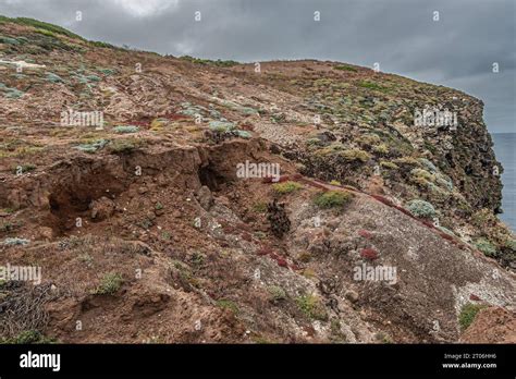 Santa Cruz Island Ca Usa September 14 2023 Small Natural Caves