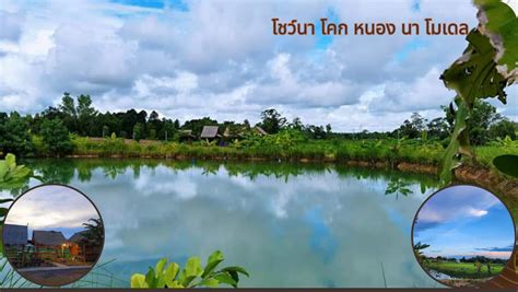 Easy Trader System Added A New Photo Easy Trader System