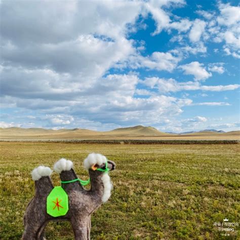 몽골 여행 경비 3박4일 커플 패키지 가격 및 준비물 환전 총정리 네이버 블로그