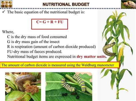 Measurements Of Food Utilizationssrinivasnaikrad21 25ppt