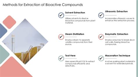 Methods For Extraction Of Bioactive Compounds Ppt Mockup Acp Ppt Example