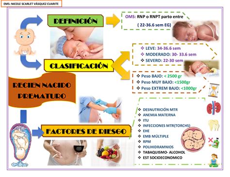 Recién Nacido Prematuro Esquemas Y Mapas Conceptuales De Neonatología