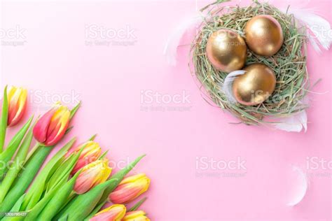 바구니 부활절 장식 봄 튤립바구니에 황금 계란 파스텔 핑크 배경에 흰색 깃털 축하 부활절 디자인 맨 위 보기입니다 개념에 대한 스톡 사진 및 기타 이미지 Istock