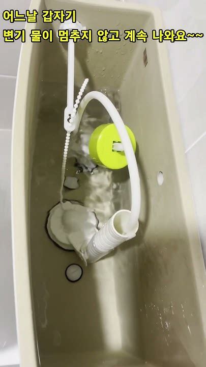변기에 물이 어느날 갑자기 멈추지 않고 차는 이유가 어이 없게도 Youtube