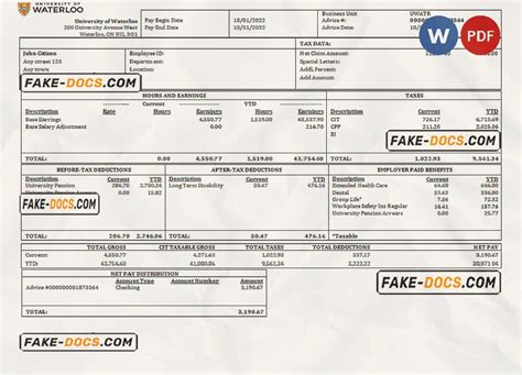 Usa Chemical Industry Earning Statement Template In Word And Pdf Format