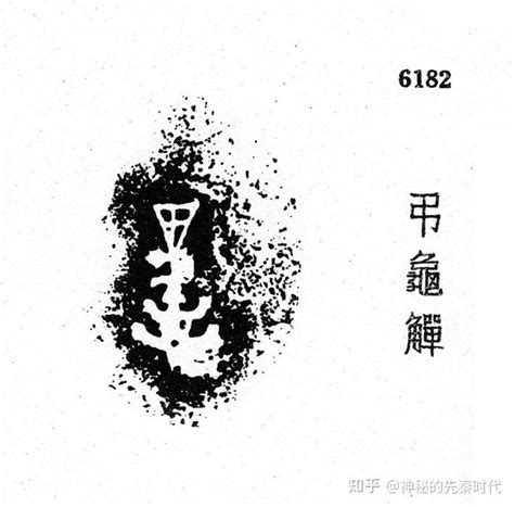 金文族徽龟族龟国 知乎