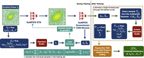 Diagram Outlining The Training Left And Inference Right Phases Of Download Scientific