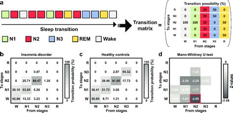 Markov Analysis A Example Of A Markov Model For Sleep The Diagram