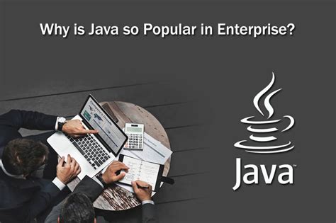 why is java so popular in enterprise and why is used