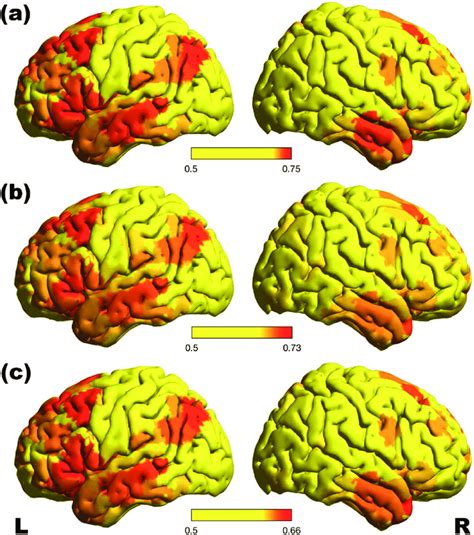 roi based classification accuracies for within sample cross validation