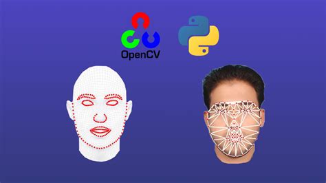 Create Delaunay Triangulation Face On Live Webcam Opencv Python