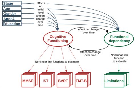 Theoretical Graph Of The Dynamic Causal Model Download Scientific Diagram