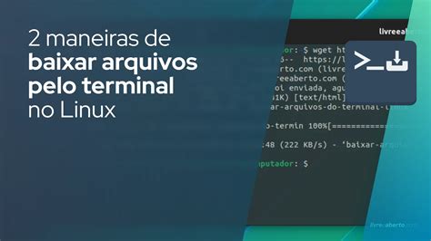 2 Maneiras De Baixar Arquivos Pelo Terminal No Linux