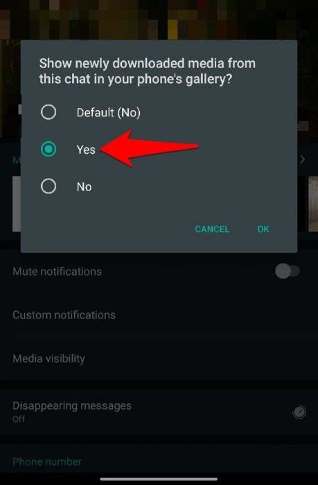 How To Fix WhatsApp Images Not Showing In Gallery App