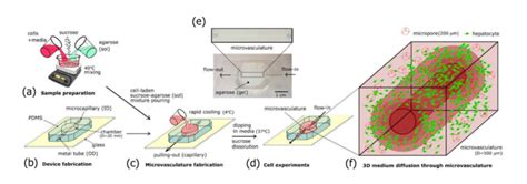Nanyang Technological University Thesis Validates Use Of Bessel Beams In Laser Based 3d