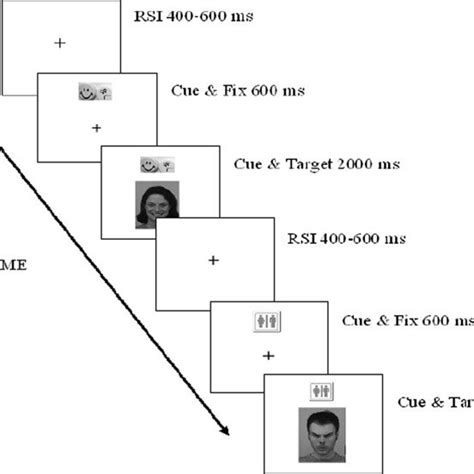 Schematic Illustration Of Two Sample Trials From The Gender Emotion