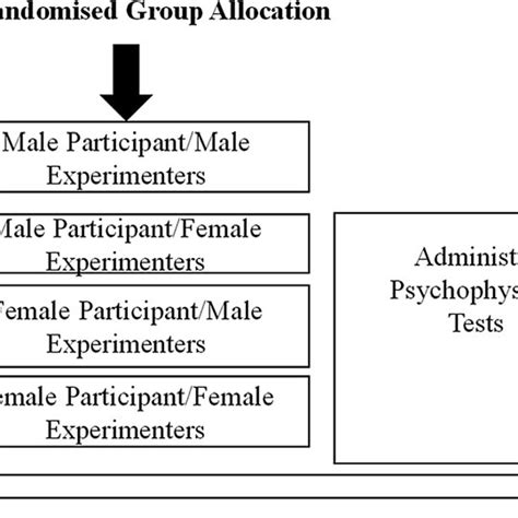 Schematic Diagram Of The Testing Procedure Download Scientific Diagram