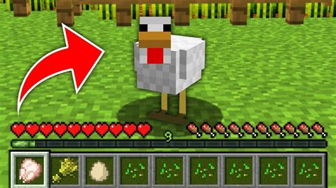 КАК ИГРАТЬ ЗА КУРИЦУ В МАЙНКРАФТЕ МАЙНКРАФТ ПРЕВРАЩЕНИЯ Youtube