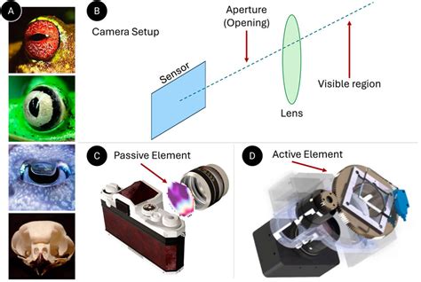 Frontiers Minimal Perception Enabling Autonomy In Resource