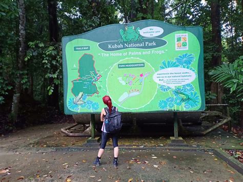 Hiking Mount Serapi In The Rain