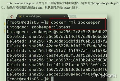 docker入门到进阶知识点（四）（镜像相关命令） 知乎
