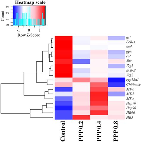 hierarchical clustering heatmap of mrnas at each concentration of download scientific diagram