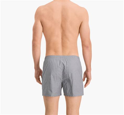 Levis® Basic Boxer Brief 2 Pack Grey Levis® Gb
