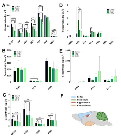 Modulation Of The Endocannabinoid Metabolome In Different Brain