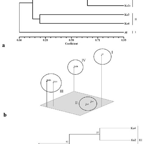 Upgma Unweighted Pair Group Method With Arithmetic Average Dendrogram