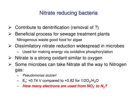 Ppt Metabolism Lectures Powerpoint Presentation Free Download Id 437674
