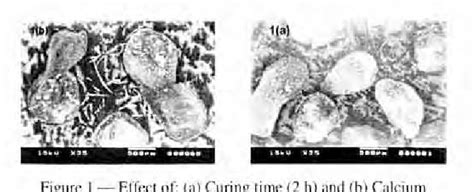 Figure I From Release Of Ketoprofen From Alginate Microparticles