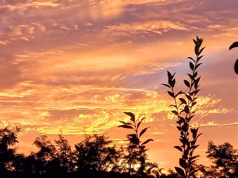 네 마음을 다하고 목숨을 다하고 뜻을 다하여 주님이신 너희 하나님을 사랑하여라