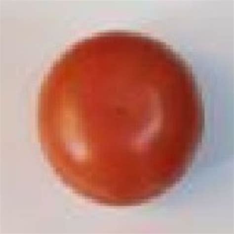 Tomato Detect Instance Segmentation Dataset By Tomatolabel