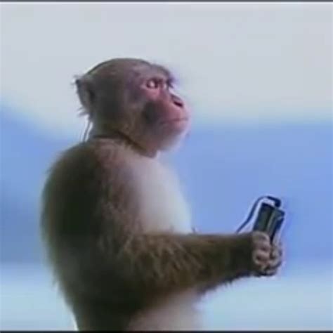 Brandon Giordano S Portfolio