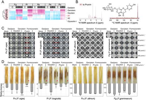 The Functional Validation Of F [image] Eurekalert Science News Releases