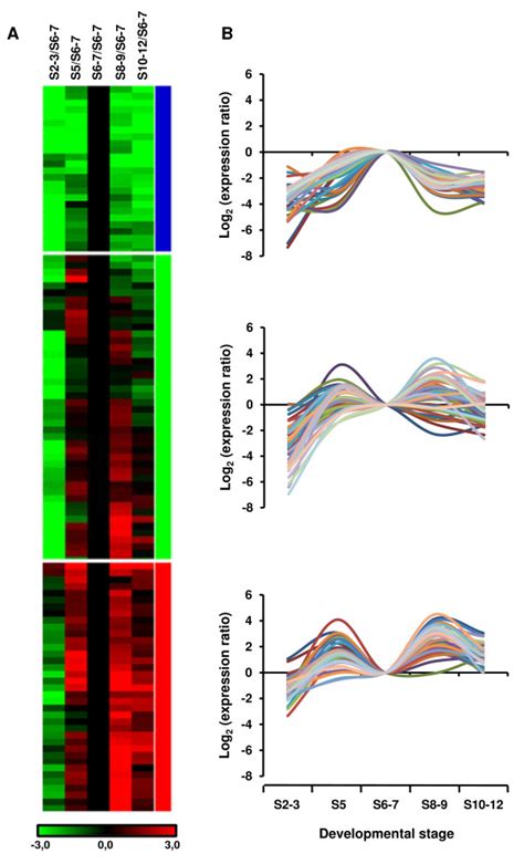 Cluster Analysis Of Microarray Data A Hierarchical Clustering Was