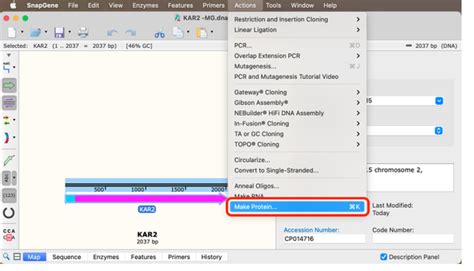 Snapgene操作指南 如何从dna序列得到蛋白质序列 知乎
